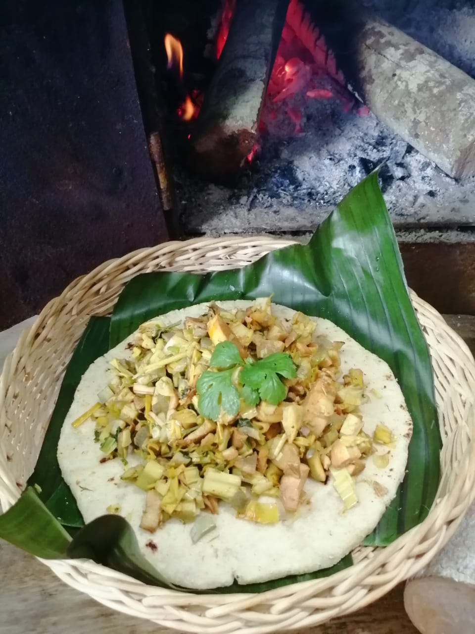 Picadillo de palmito en tortilla de maíz | Sistema de Información ...