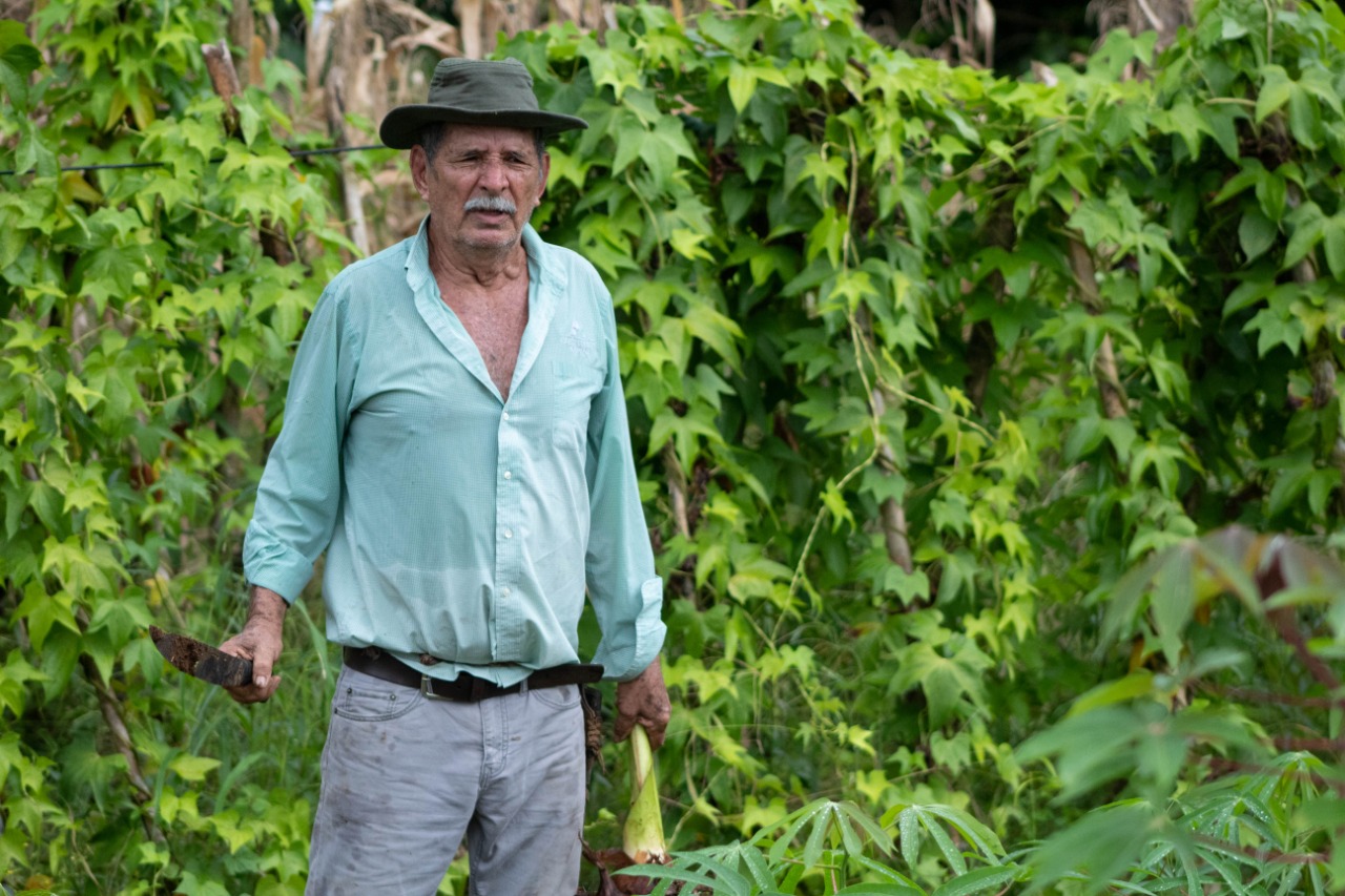 Lucas Solano Castro | Sistema de Información Cultural de Costa Rica