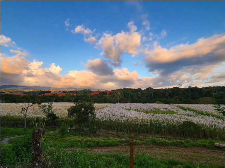 Nancy Durán | Sistema de Información Cultural de Costa Rica