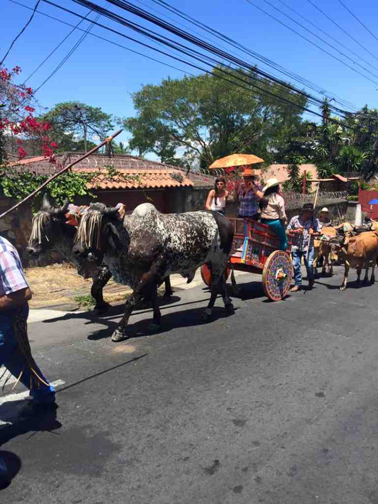 Desfile del Boyero San Antonio de Escazú | Sistema de Información ...