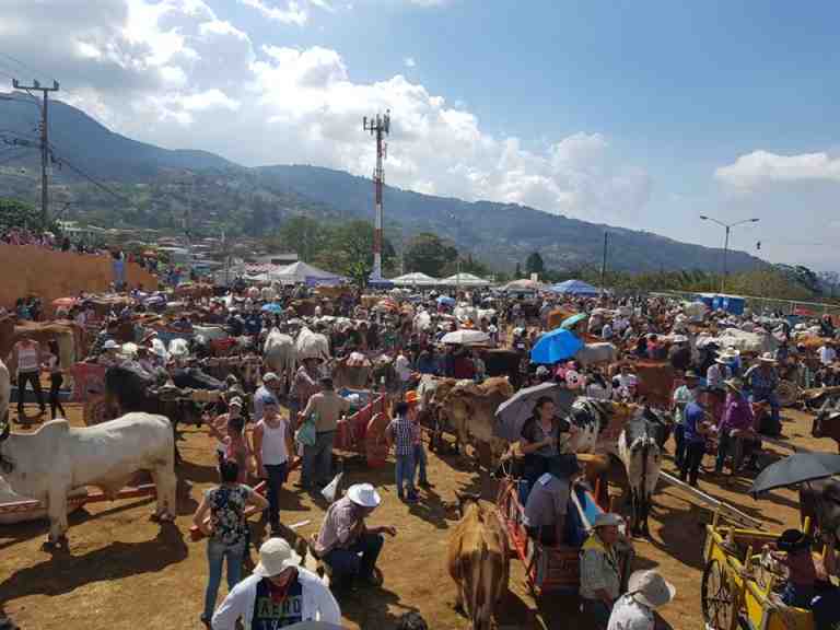 Desfile del Boyero San Antonio de Escazú | Sistema de Información ...
