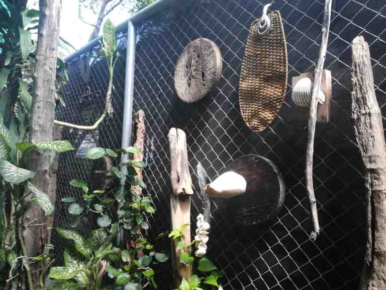 Darling Ordoñez Jiménez | Sistema de Información Cultural de Costa Rica