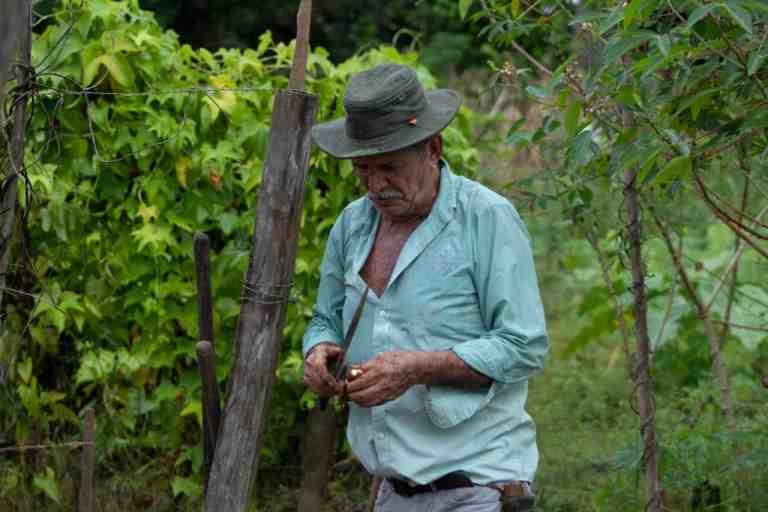 Lucas Solano Castro | Sistema de Información Cultural de Costa Rica