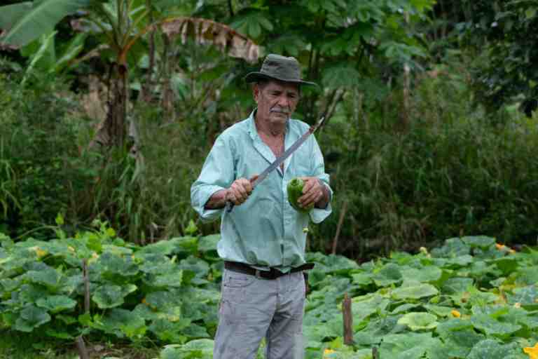 Lucas Solano Castro | Sistema de Información Cultural de Costa Rica