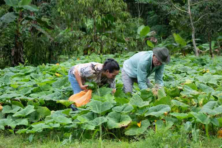 Lucas Solano Castro | Sistema de Información Cultural de Costa Rica