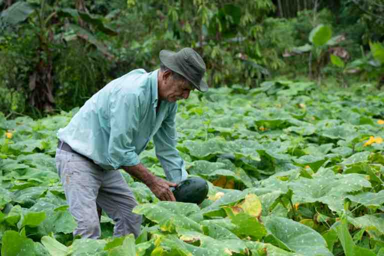 Lucas Solano Castro | Sistema de Información Cultural de Costa Rica