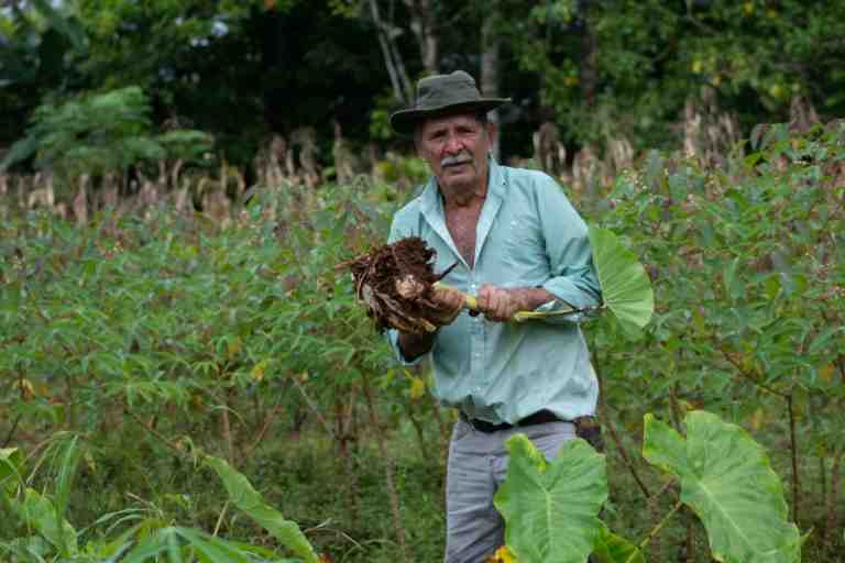 Lucas Solano Castro | Sistema de Información Cultural de Costa Rica